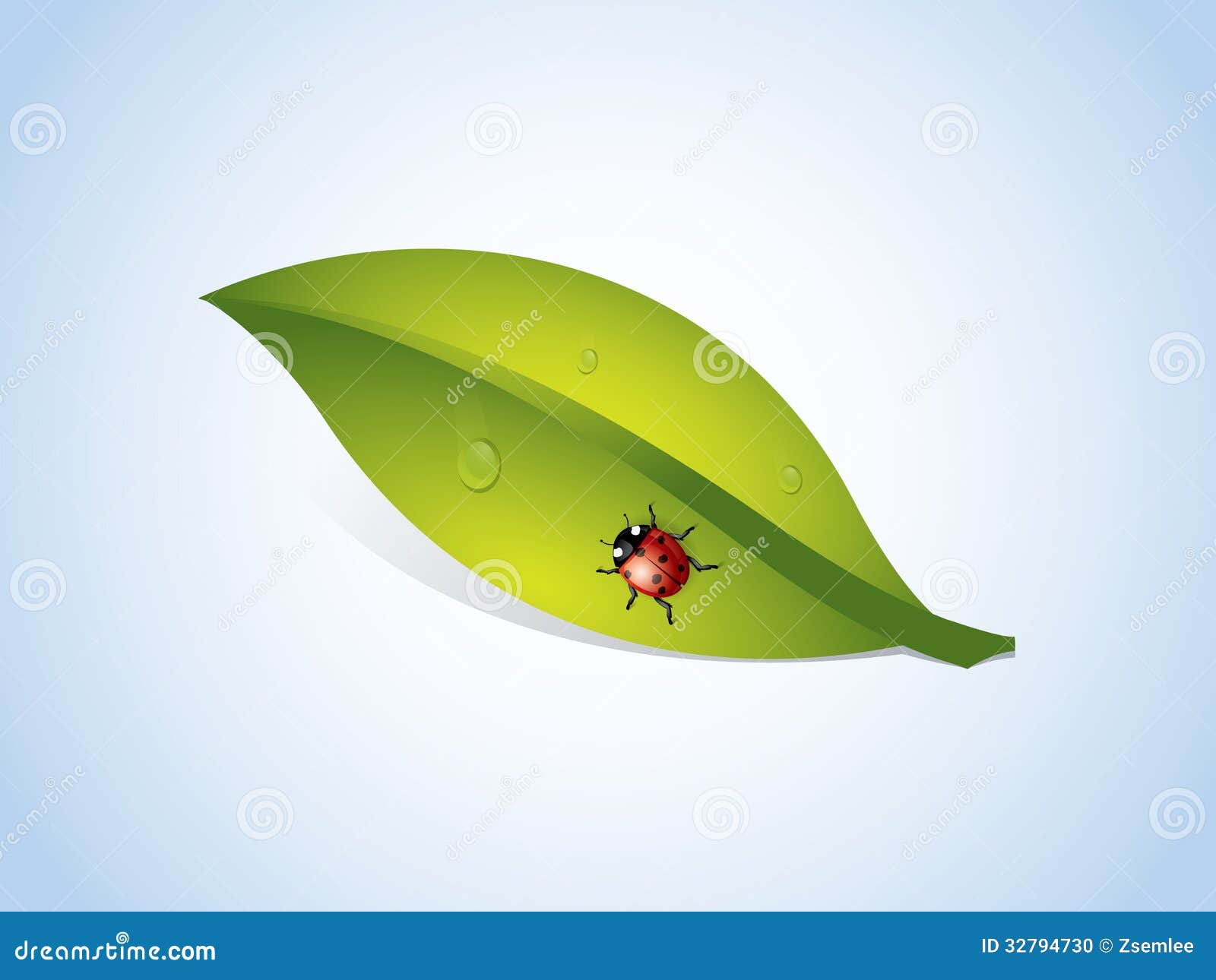 Vector leaf and ladybug stock vector. Illustration of floral - 32794730