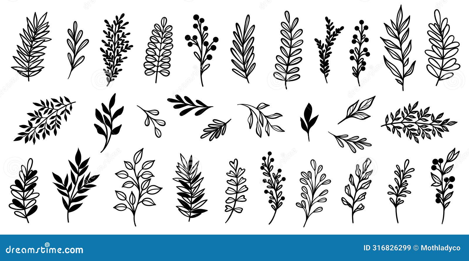 Vector Leaf Set, Hand Drawn Leaves, Plant Doodles Isolated Stock ...