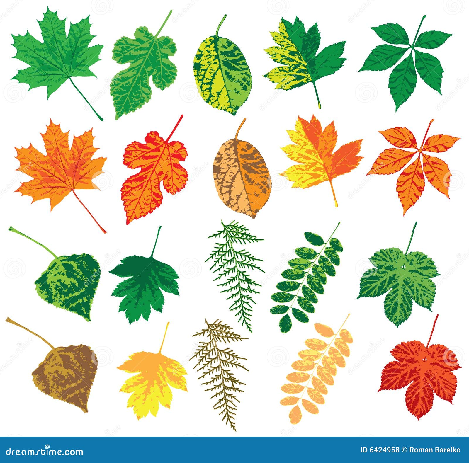 Vector. Leafs Set Isolated on White. Stock Vector - Illustration of ...