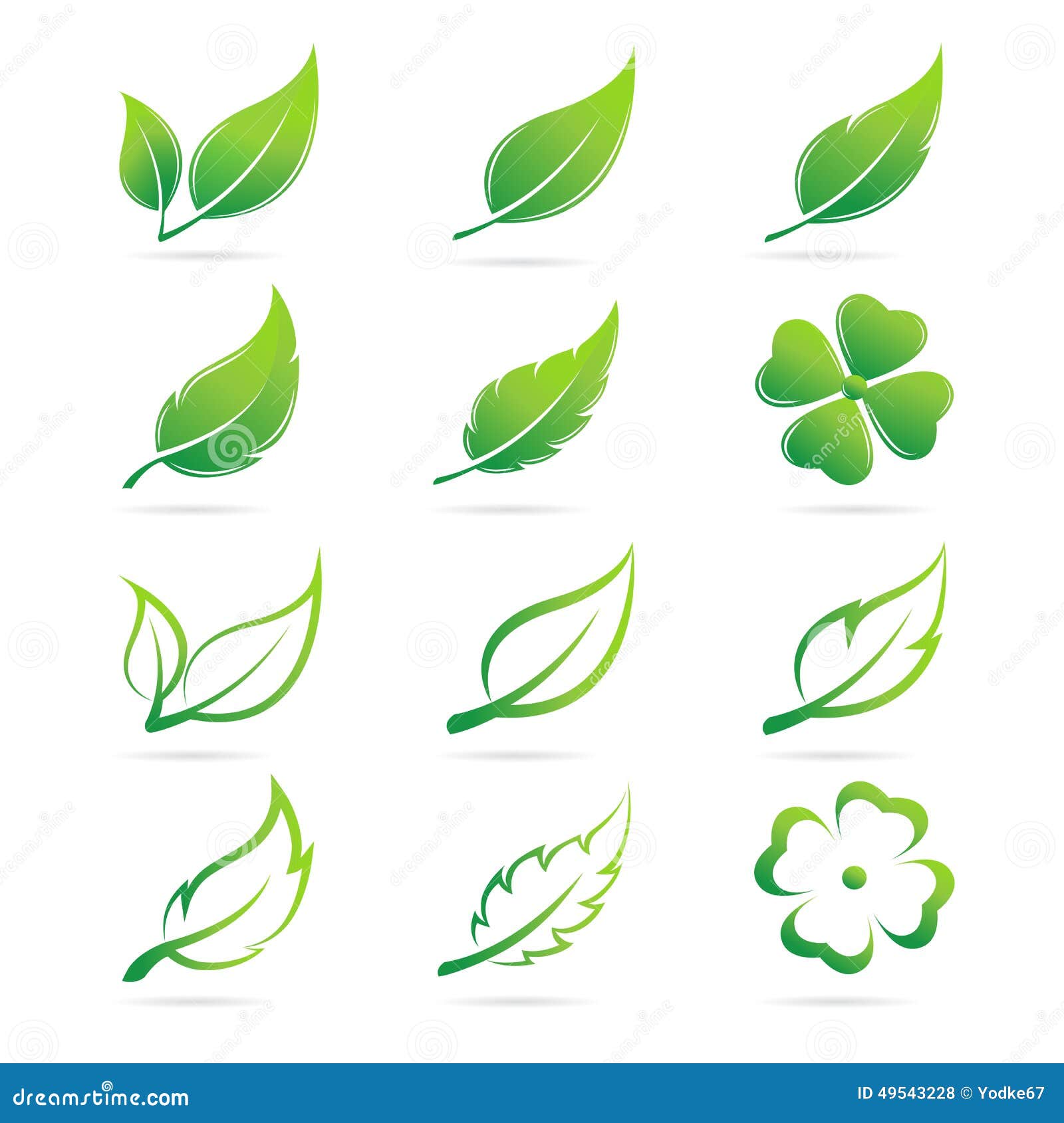 Leaves Icon Set Vector. Various Shapes Of Green Leaves Of Trees And ...