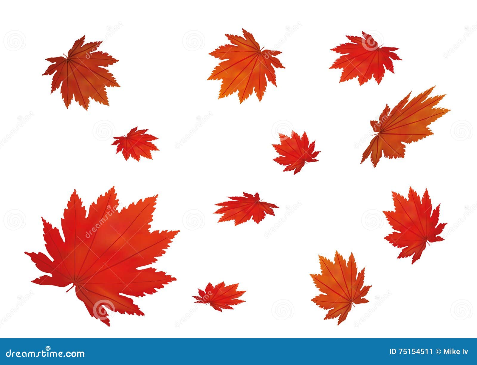 Vector leaves stock vector. Illustration of leave, spring - 75154511