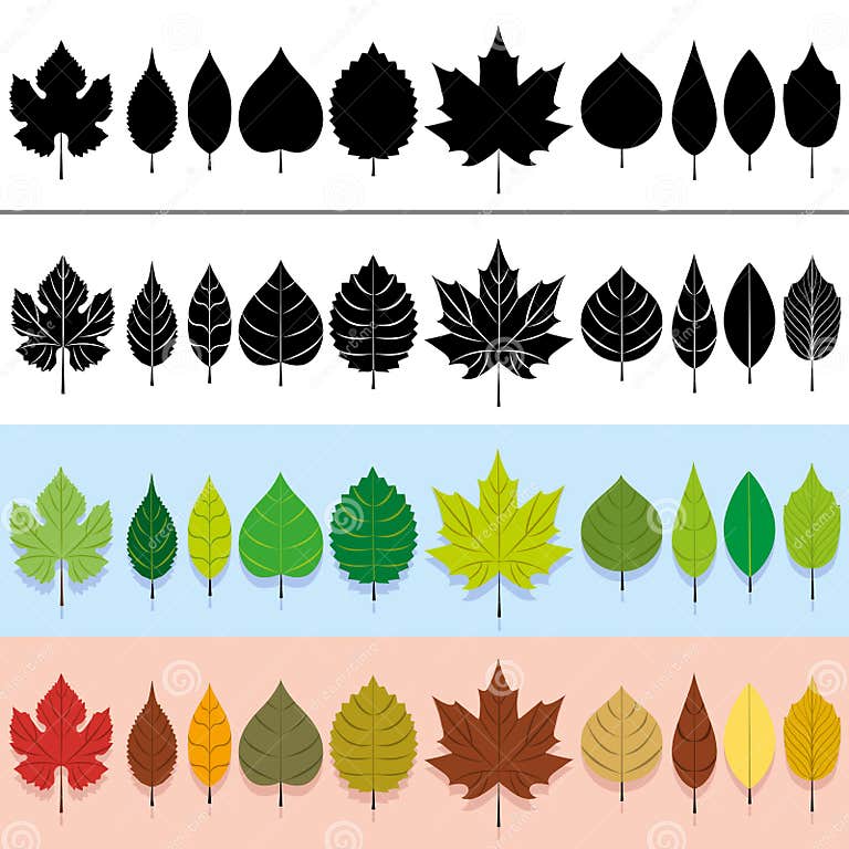 Vector Leaves Set stock vector. Illustration of decoration - 32242965