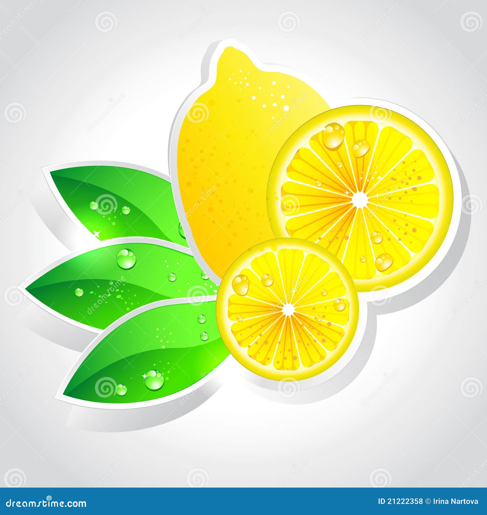 Vector lemon stock vector. Illustration of health, fruit - 21222358