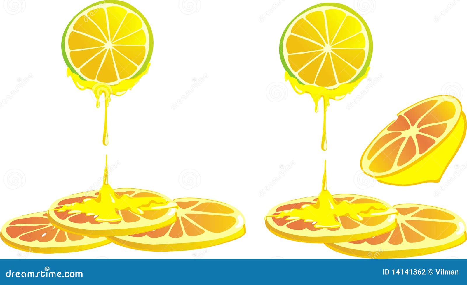 Vector lemon and honey stock illustration. Illustration of lemon - 14141362