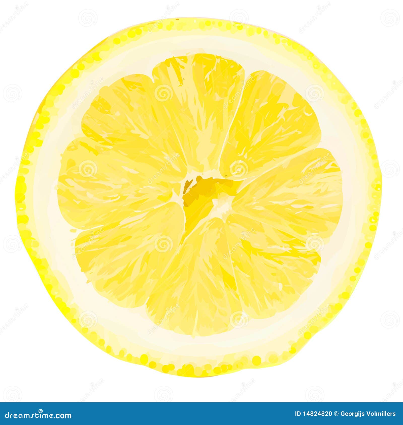 Vector lemon slice. stock vector. Illustration of circle - 14824820