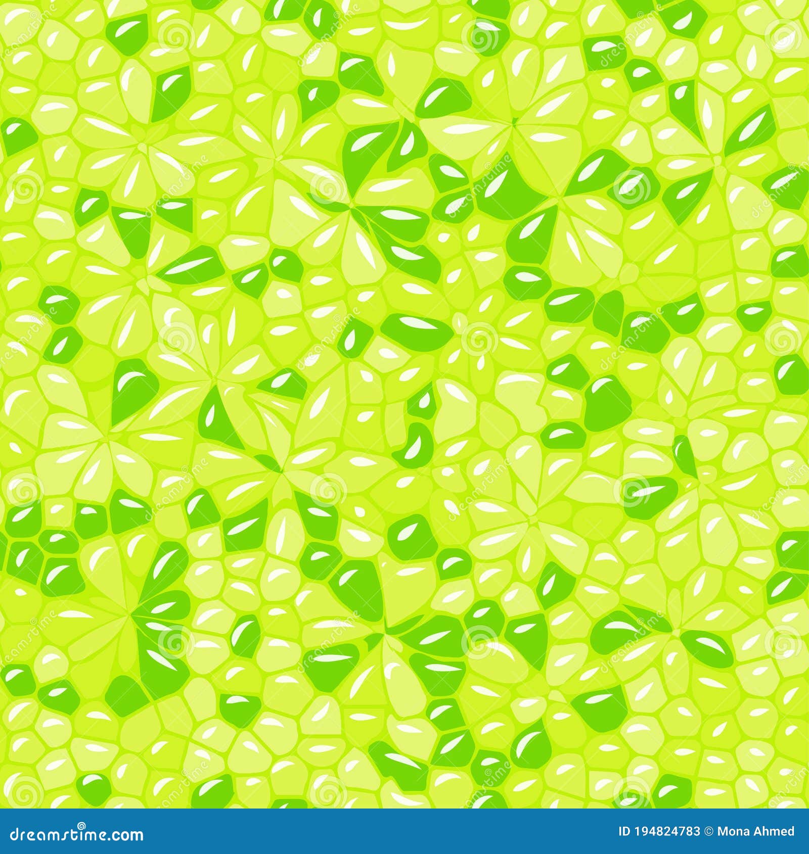 Vector Lime Set Isolated On White Background. | CartoonDealer.com ...
