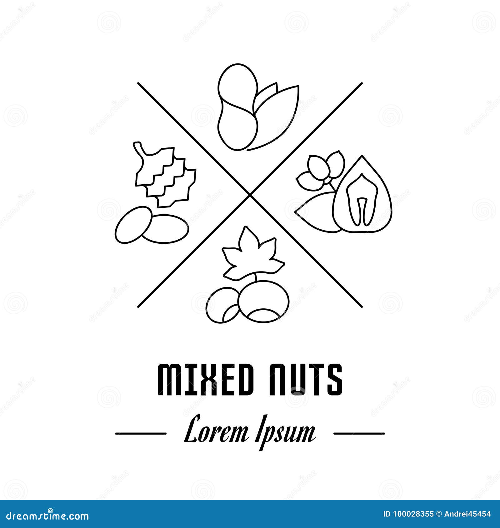 Vector Line Banner Mixed Nuts Stock Illustration - Illustration of ...
