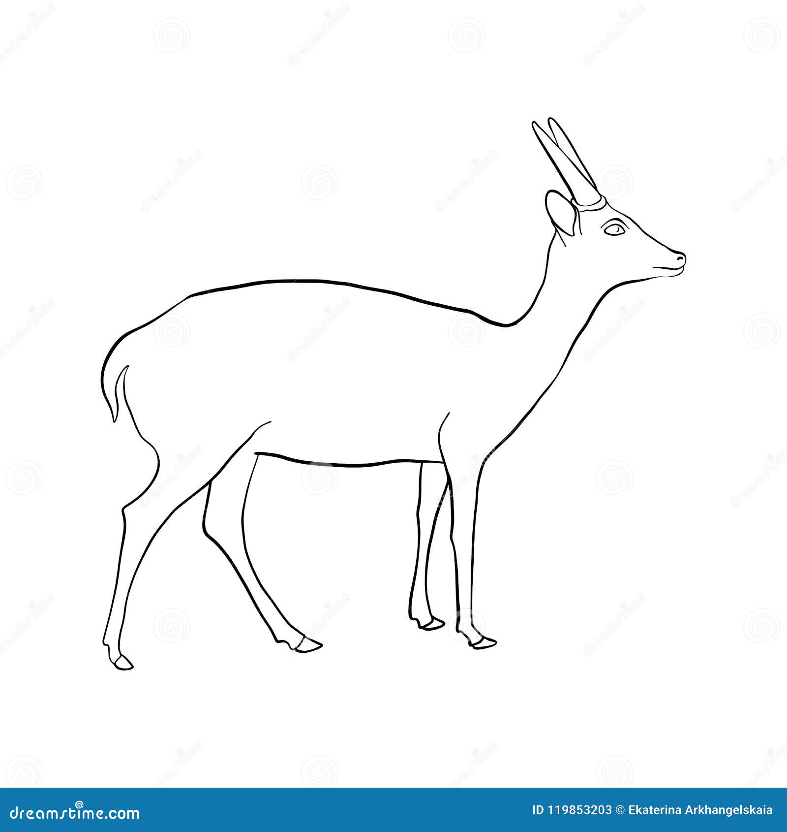 Vector drawing antelope stock vector. Illustration of safari - 119853203