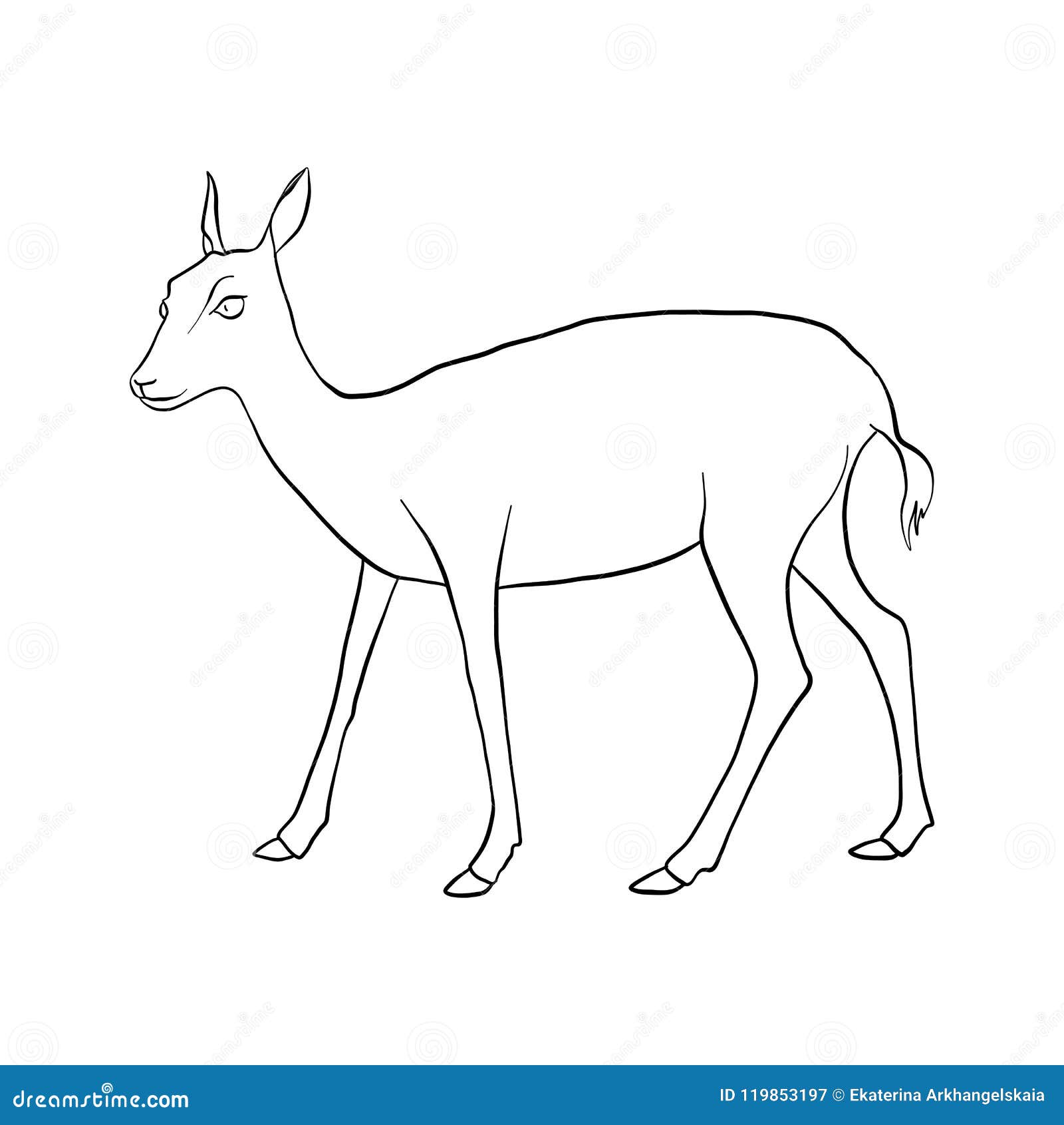Vector drawing doe stock vector. Illustration of drawing - 119853197