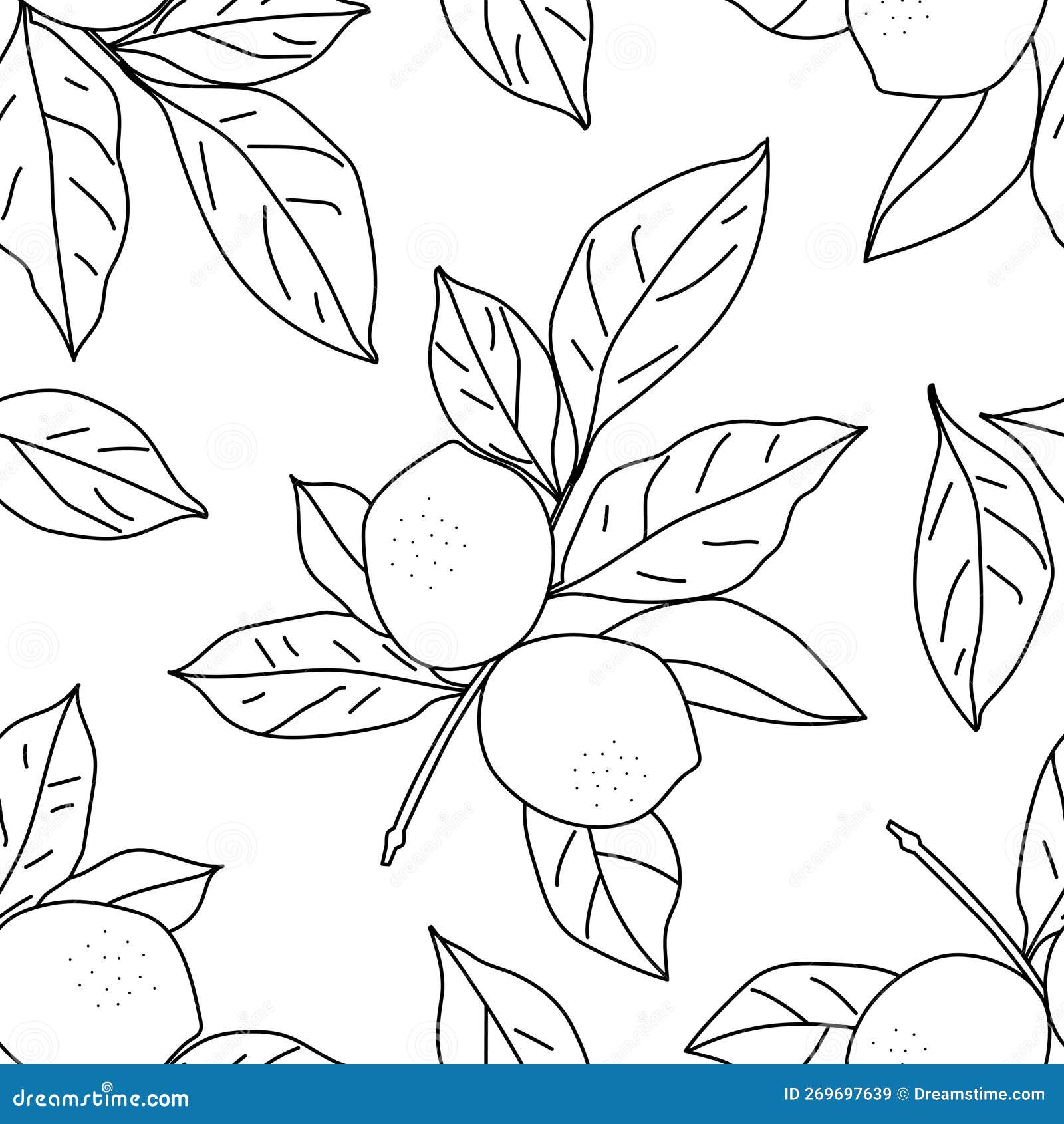 Vector Line Drawing of Lemon and Leaves Stock Illustration ...