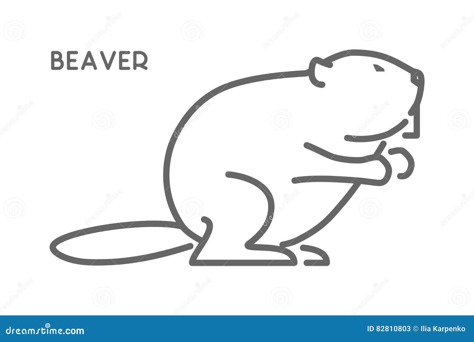 Vector Line Figure of Beaver Stock Illustration - Illustration of logo ...