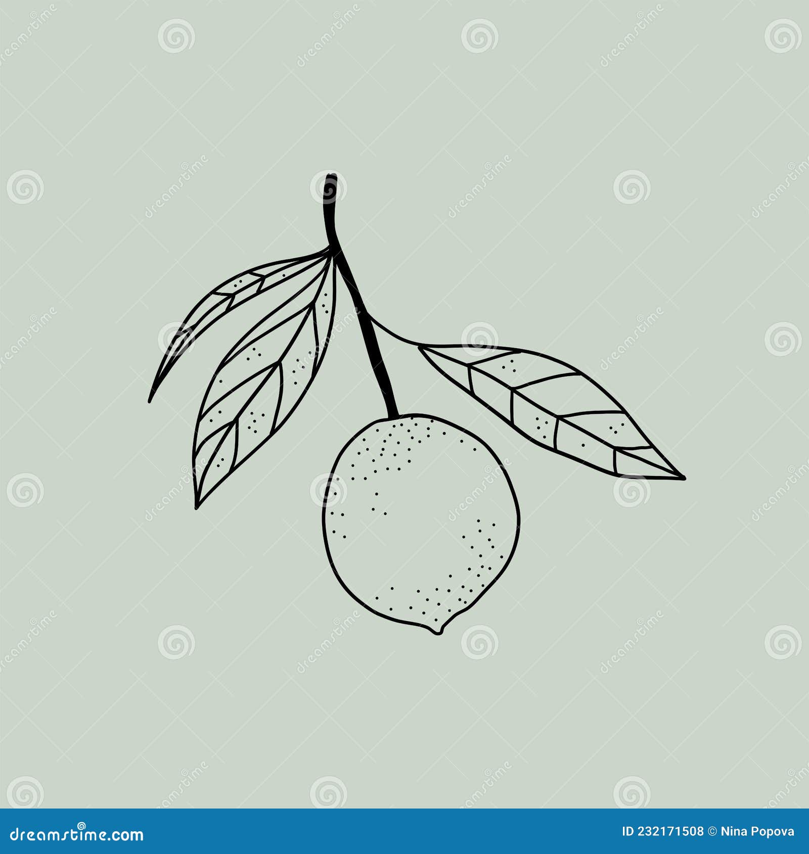 Vector Line Lemon. Simple Modern Style. Wall Art. Scandinavian ...