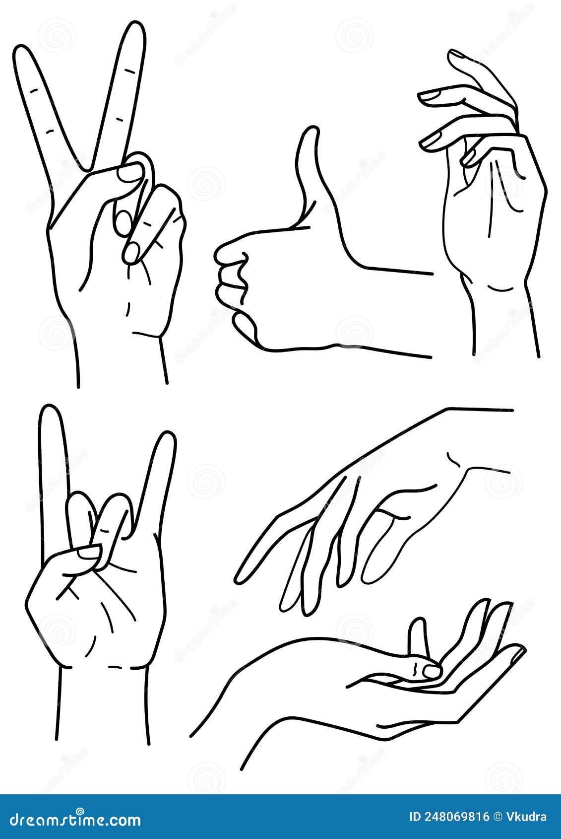 Vector Line Set of Human Arms Gestures Stock Vector - Illustration of ...