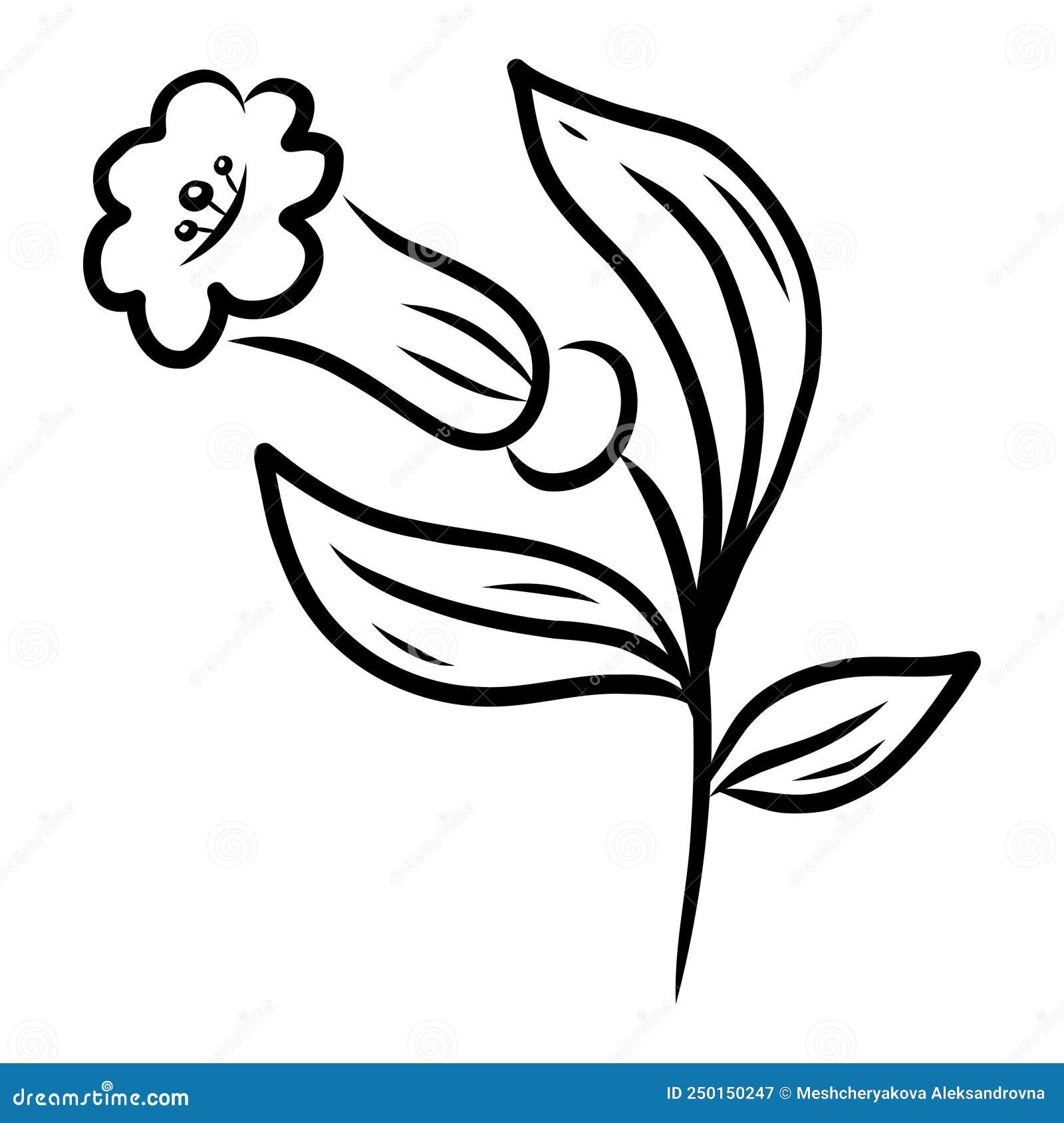 VECTOR LINEAR DRAWING of a FLOWER on a WHITE BACKGROUND Stock ...
