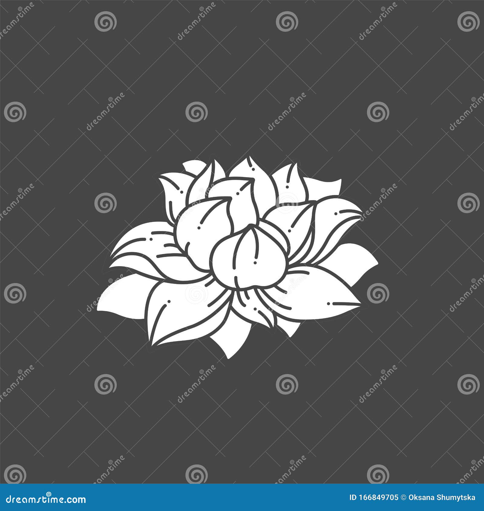 Vector Linear Illustration of Beautiful Lotus Flower Stock Illustration ...