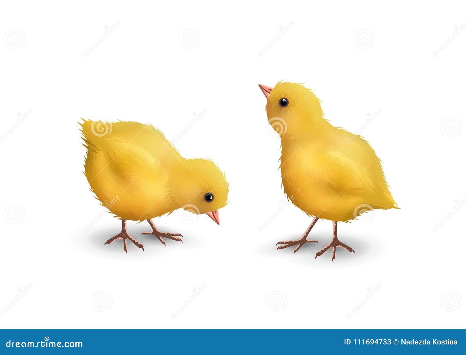 Vector Realistic Chick stock vector. Illustration of farm - 111694733