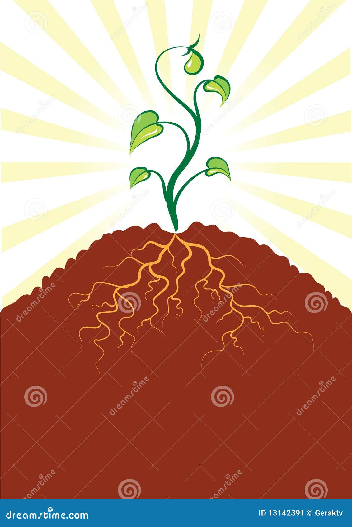 Vector Little Tree and Roots .Seedlings Stock Vector - Illustration of ...