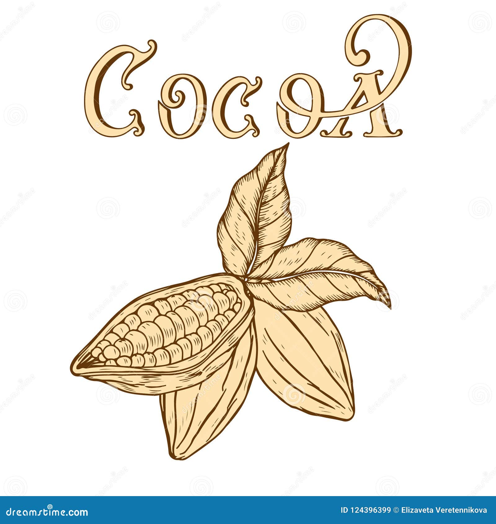 Logo cocoa stock vector. Illustration of background - 124396399