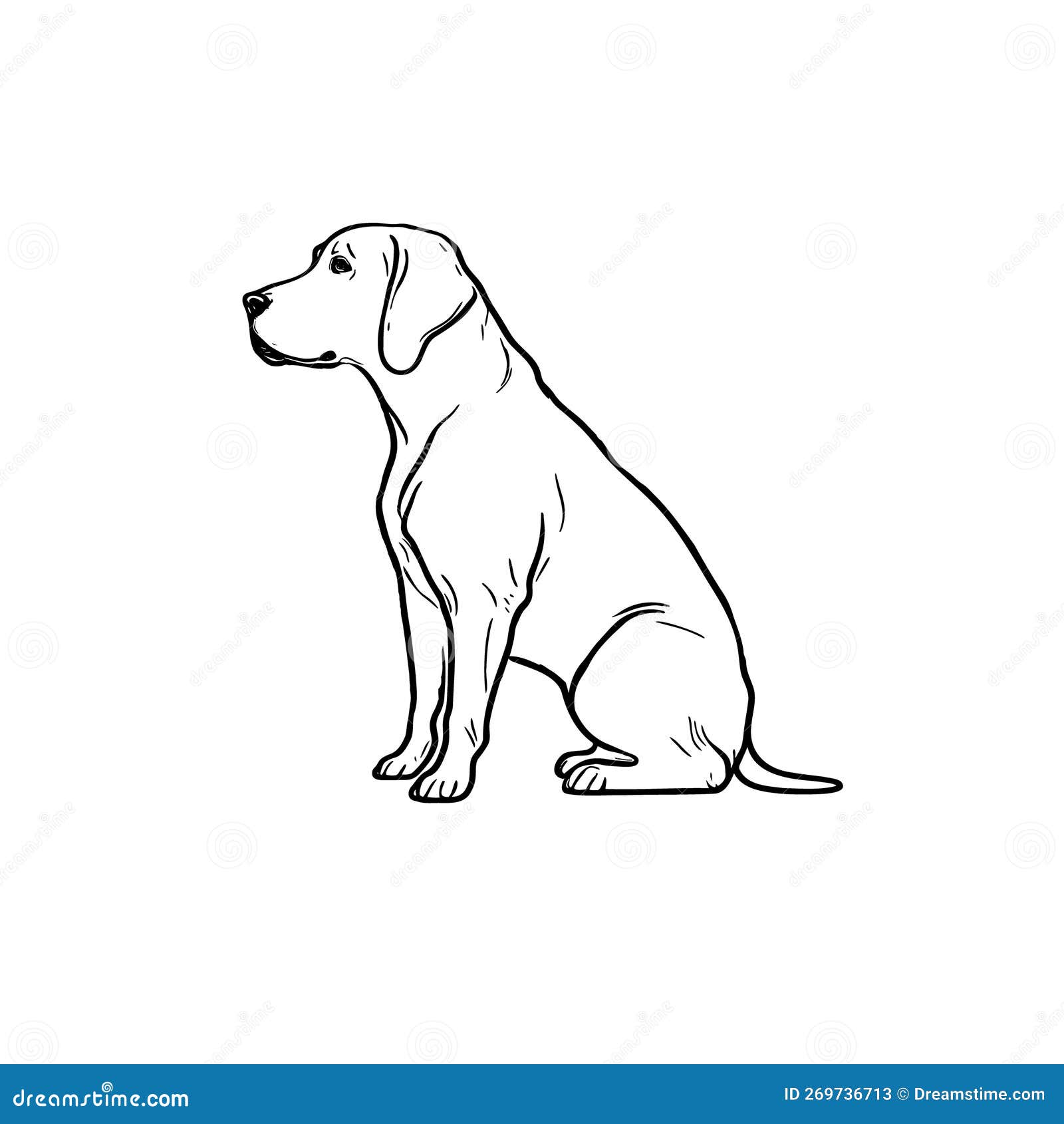 Vector Logo of a Dog Head Labrador on White Background, Pet. Animals ...