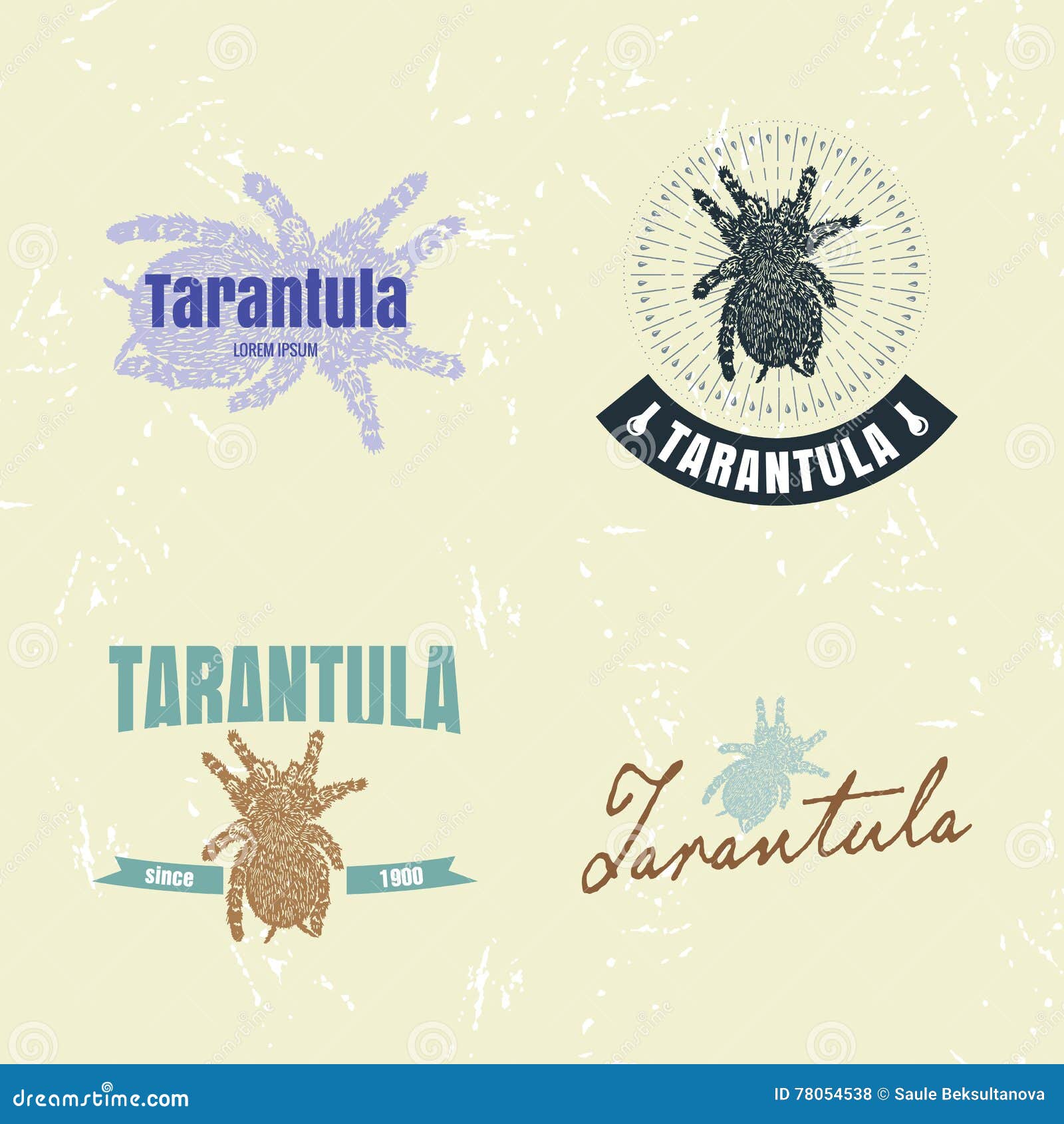 Vector Logo Set with Tarantula Spider Stock Illustration - Illustration ...
