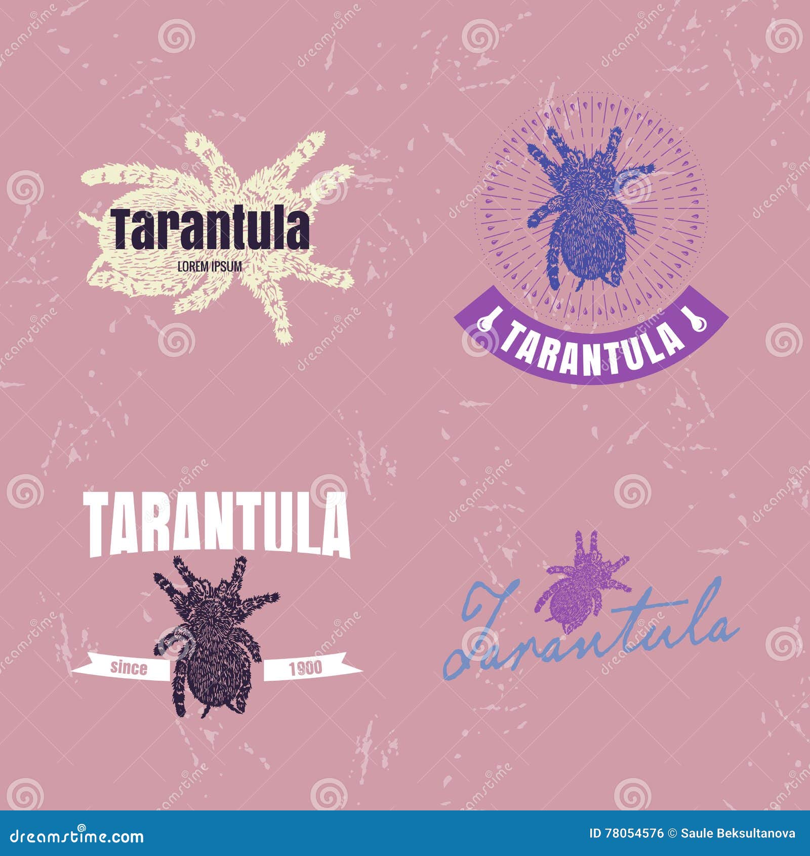 Tarantula Logo. Isolated Tarantula On White Background Cartoon Vector ...