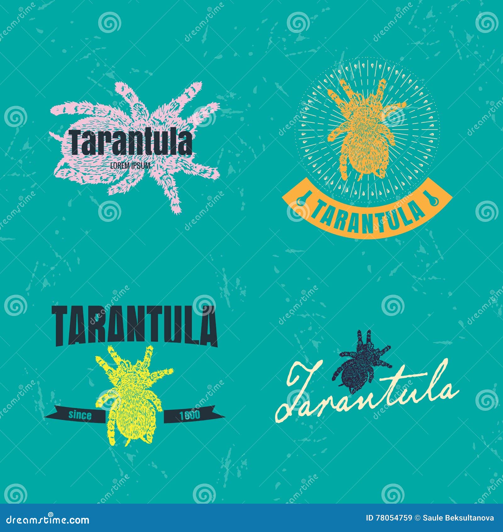 Vector Logo Set with Tarantula Spider Stock Illustration - Illustration ...