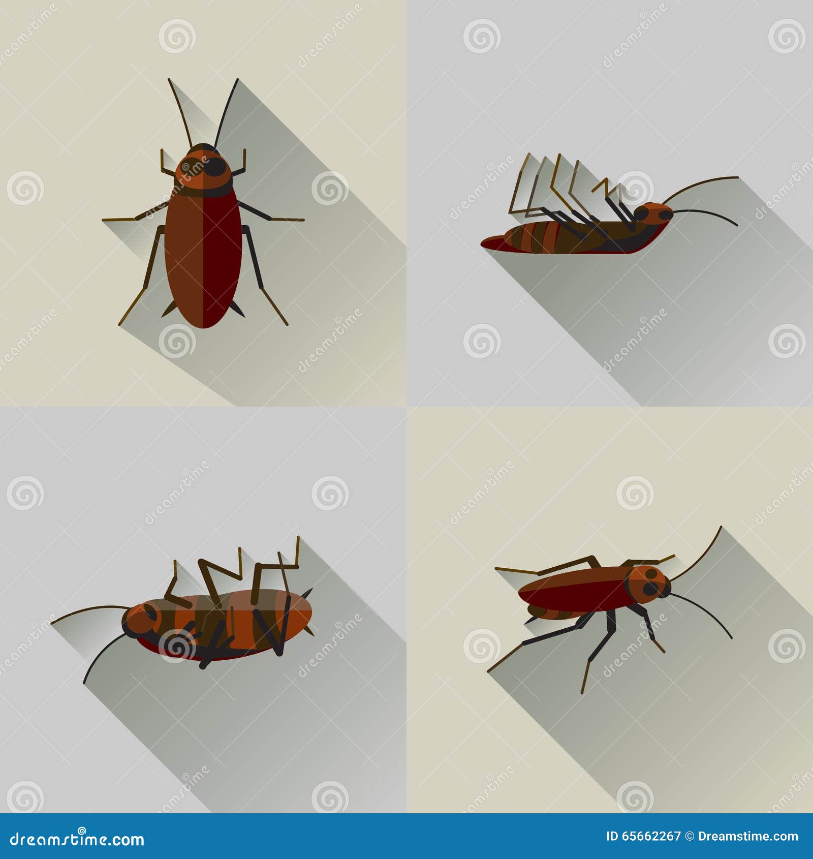 Vector Long Shadow Dead Cockroach Set Bug Stock Vector - Illustration ...
