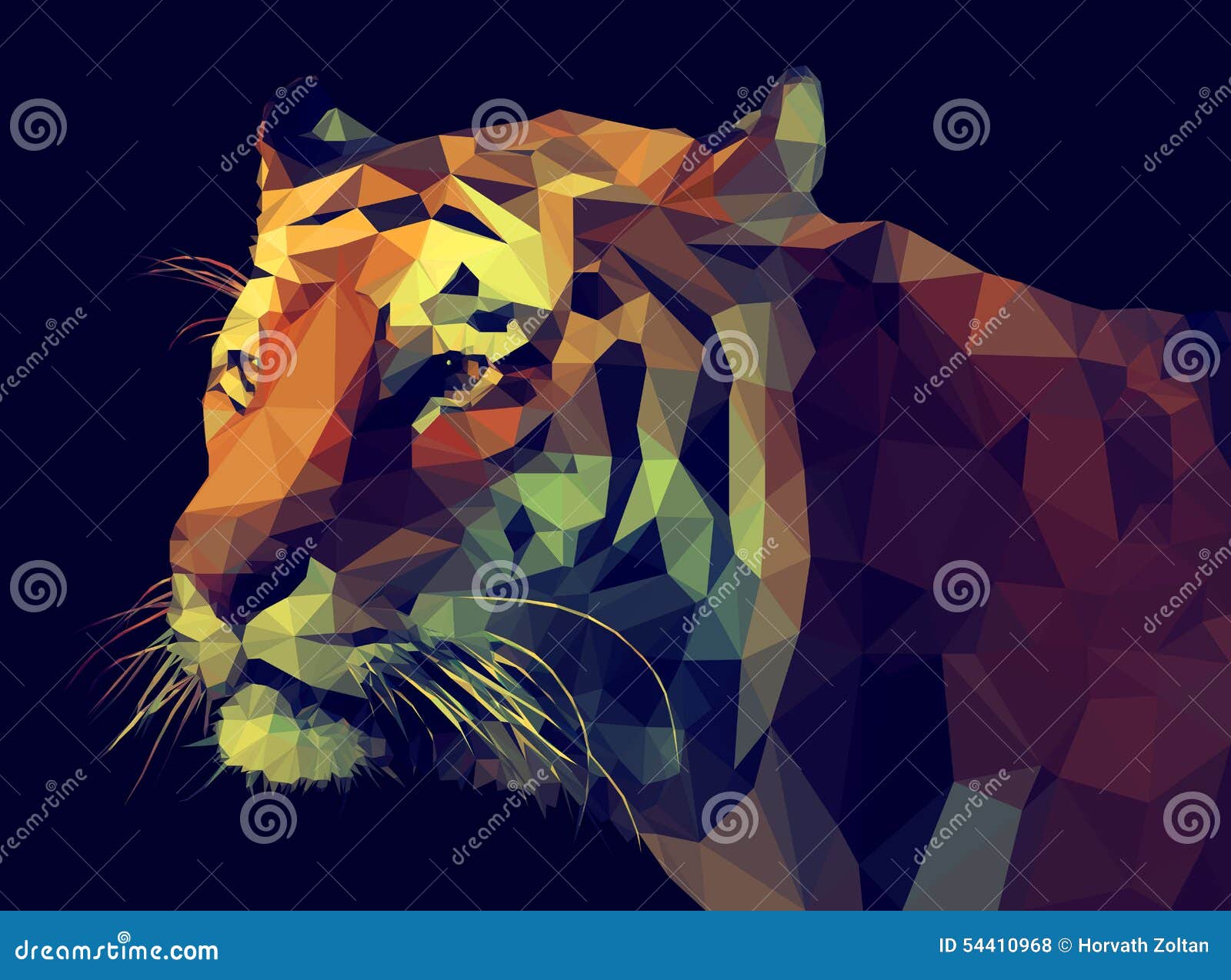 Tiger Illustration Isolated On White Background. Big Wild Cat. Royalty ...