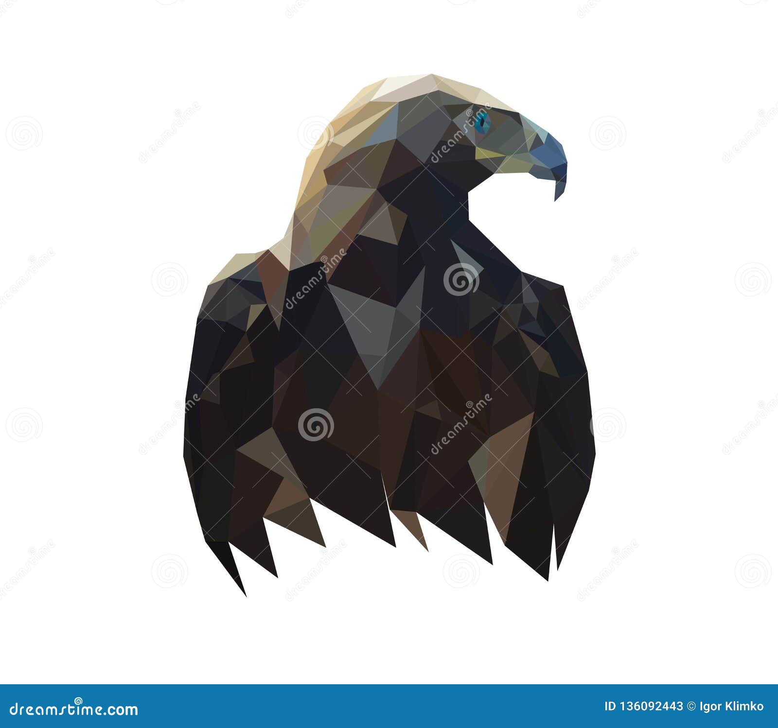 Vector Low Poly Image of an Eagle Stock Vector - Illustration of ...