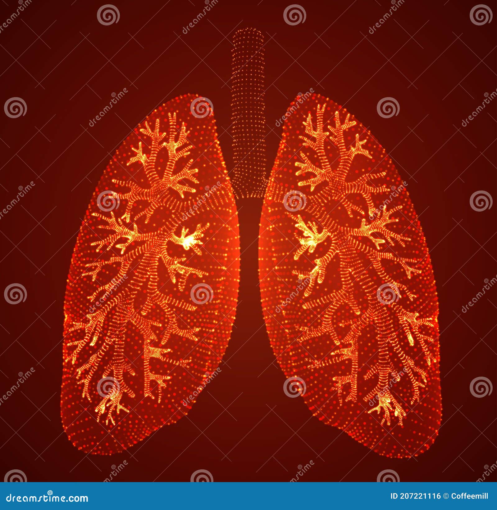 Vector Lungs and Bronchi. Vector Design Stock Vector - Illustration of ...