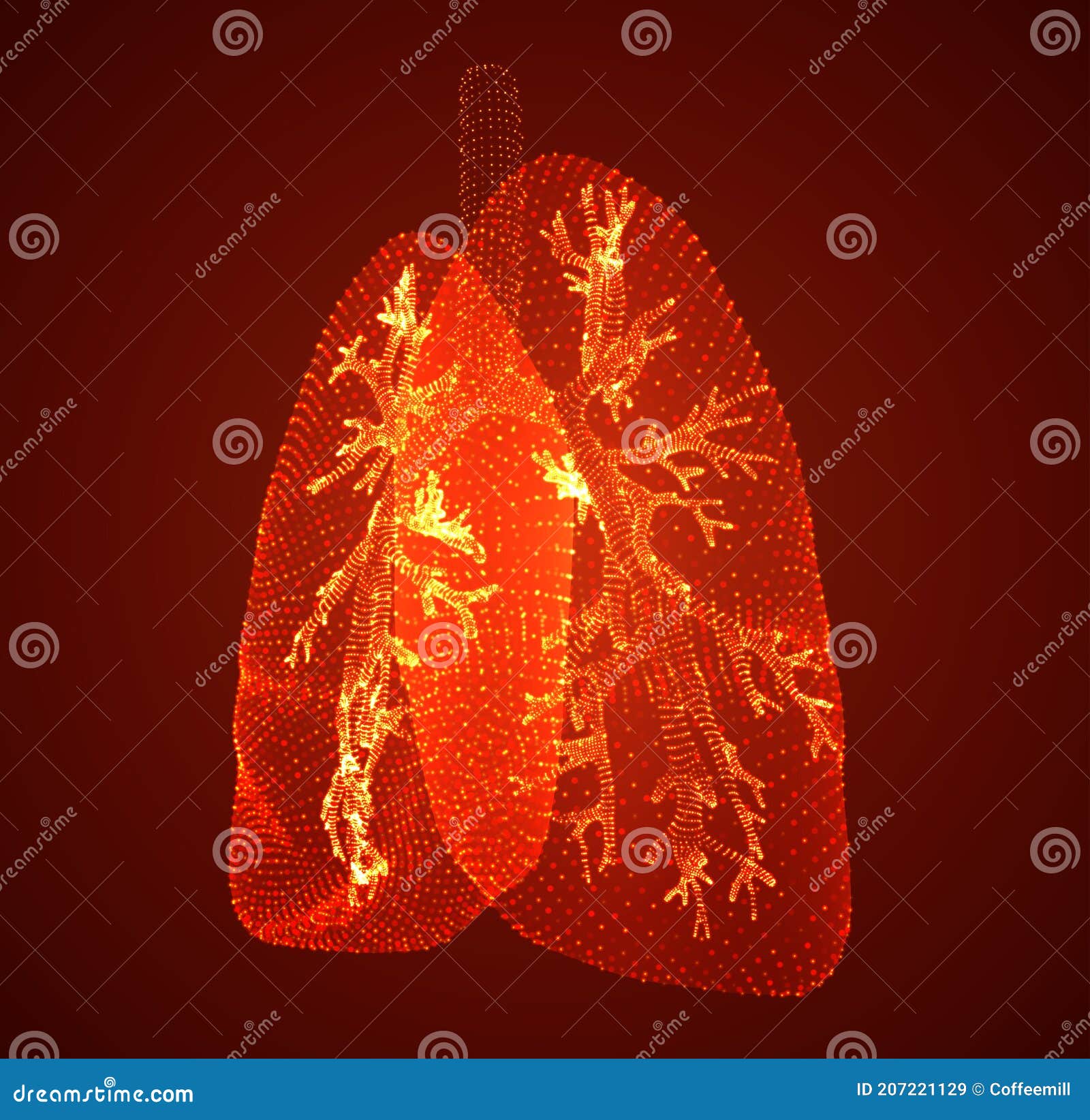 Vector Lungs and Bronchi. Vector Design Stock Vector - Illustration of ...