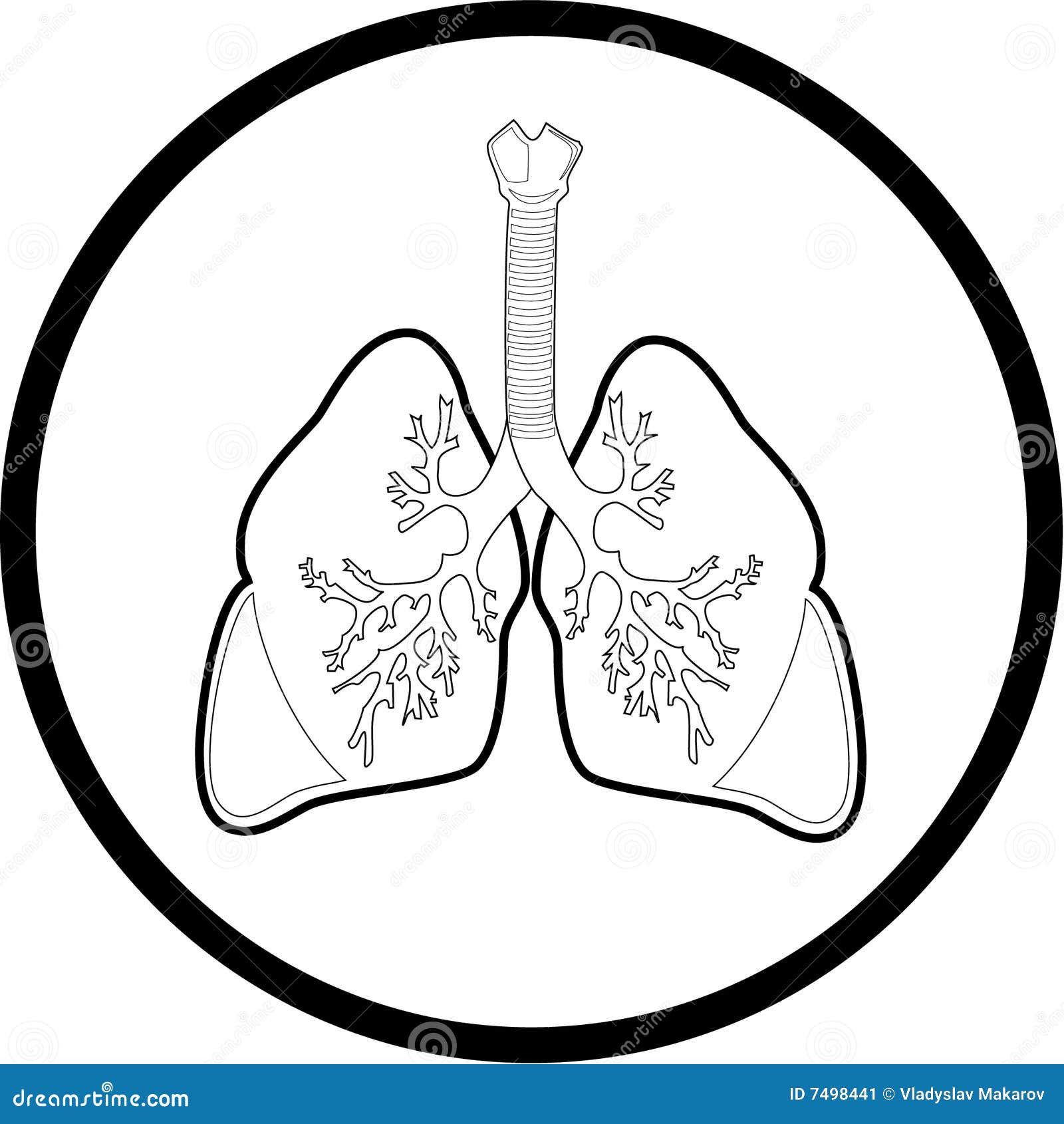 Vector lungs icon stock vector. Illustration of logo, breath - 7498441