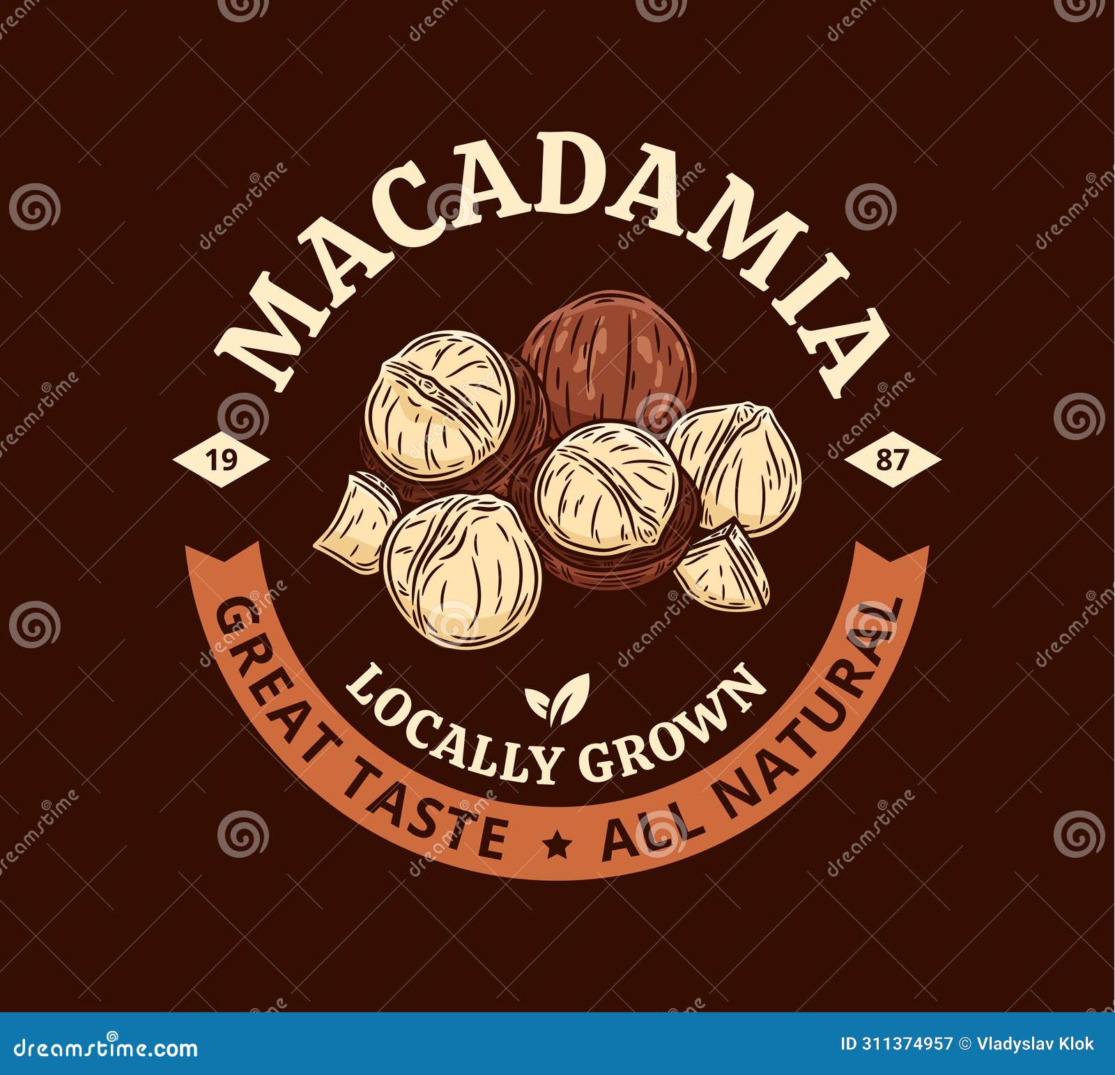 Vector Macadamia Colorful Logo Stock Vector - Illustration of culinary ...