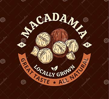 Vector Macadamia Colorful Logo Stock Vector - Illustration of culinary ...