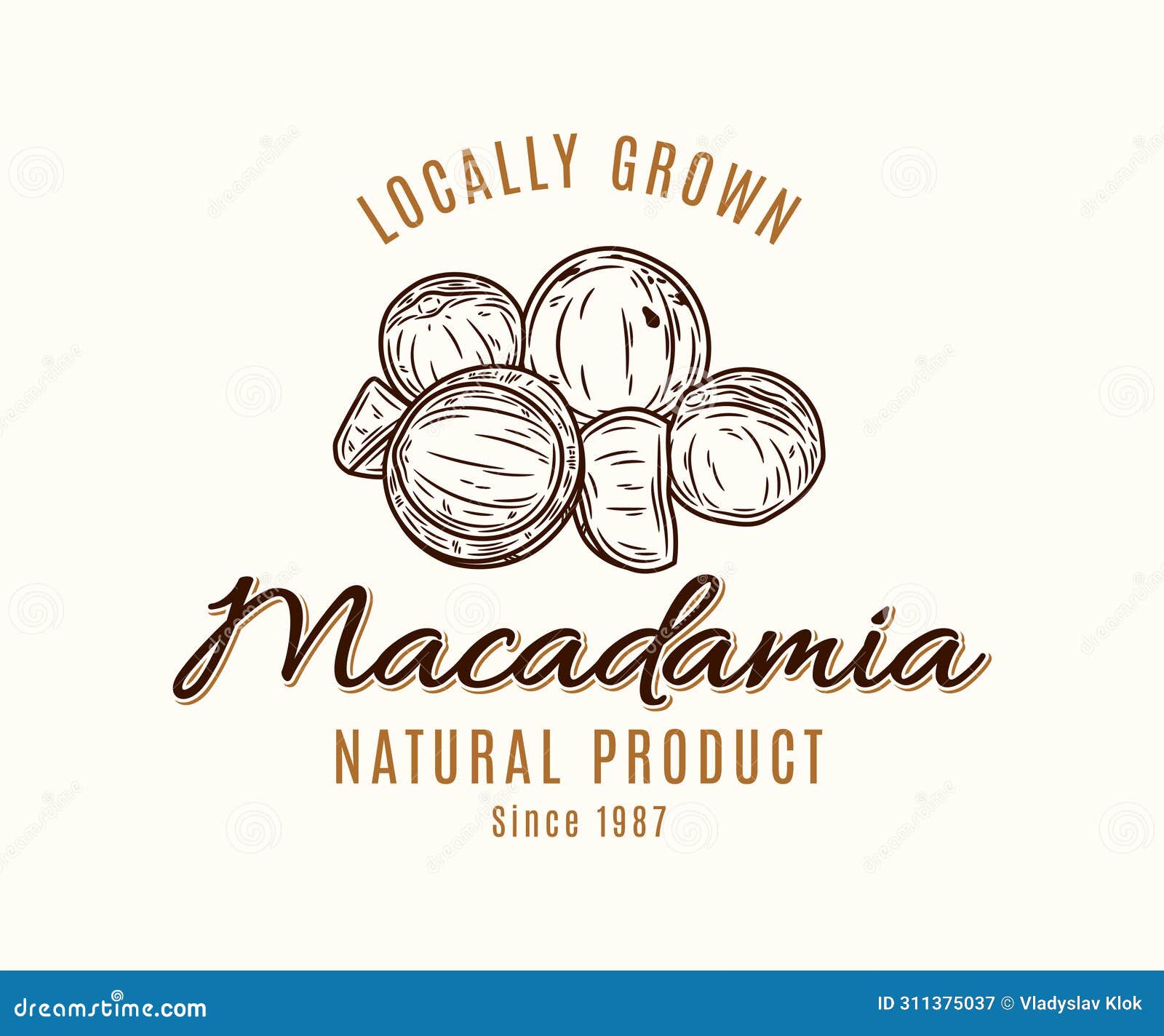Vector macadamia logo stock vector. Illustration of sweet - 311375037