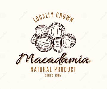 Vector macadamia logo stock vector. Illustration of sweet - 311375037