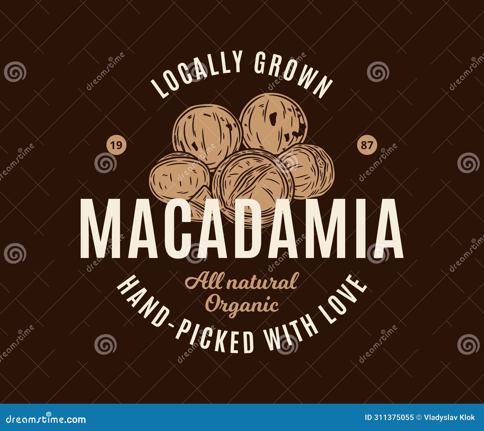 Vector macadamia logo stock vector. Illustration of handdrawn - 311375055