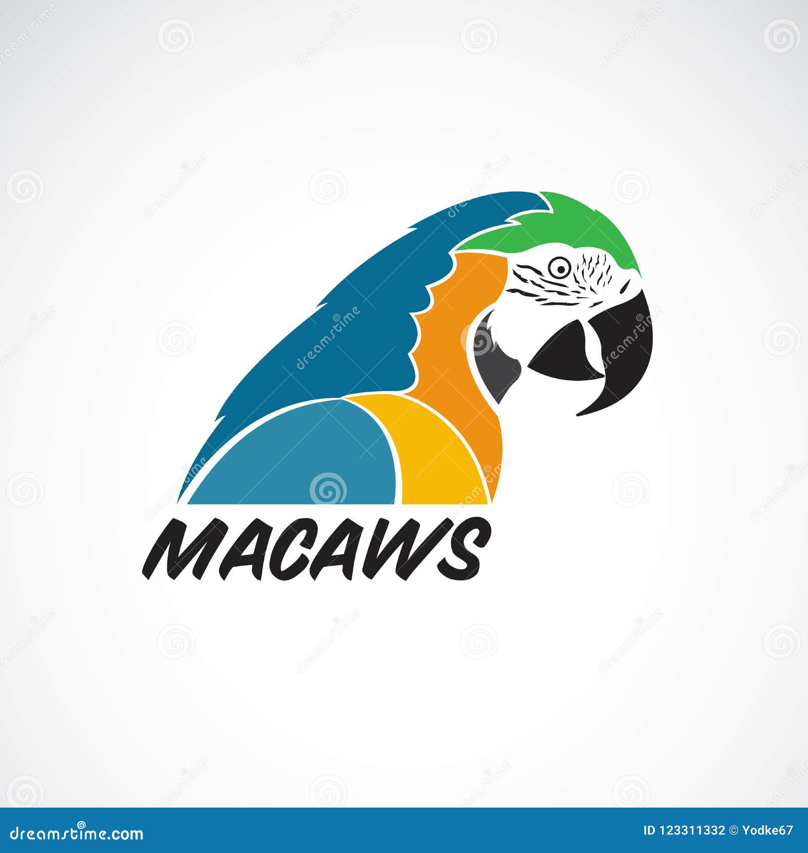 Vector of Macaws Parrot on White Background. Bird Icon Stock Vector ...