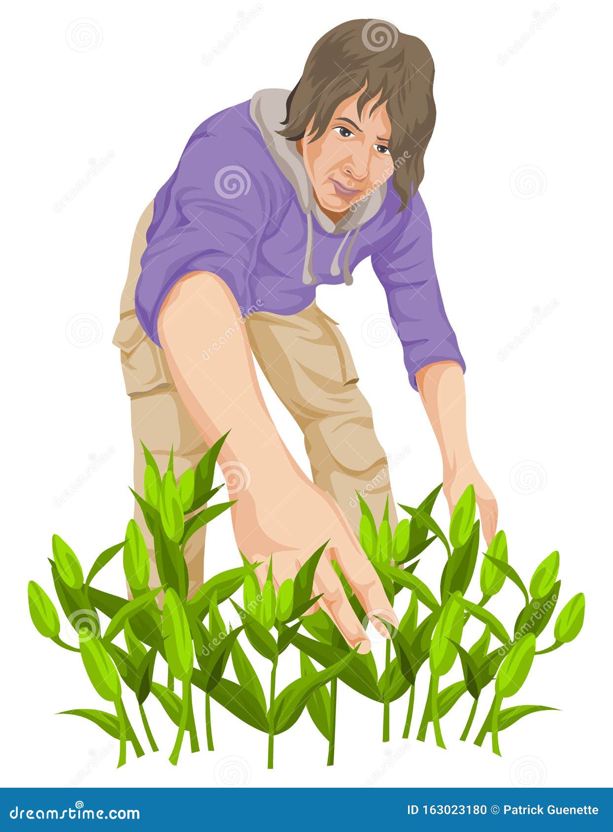 Plucking Cartoons, Illustrations & Vector Stock Images - 1719 Pictures ...