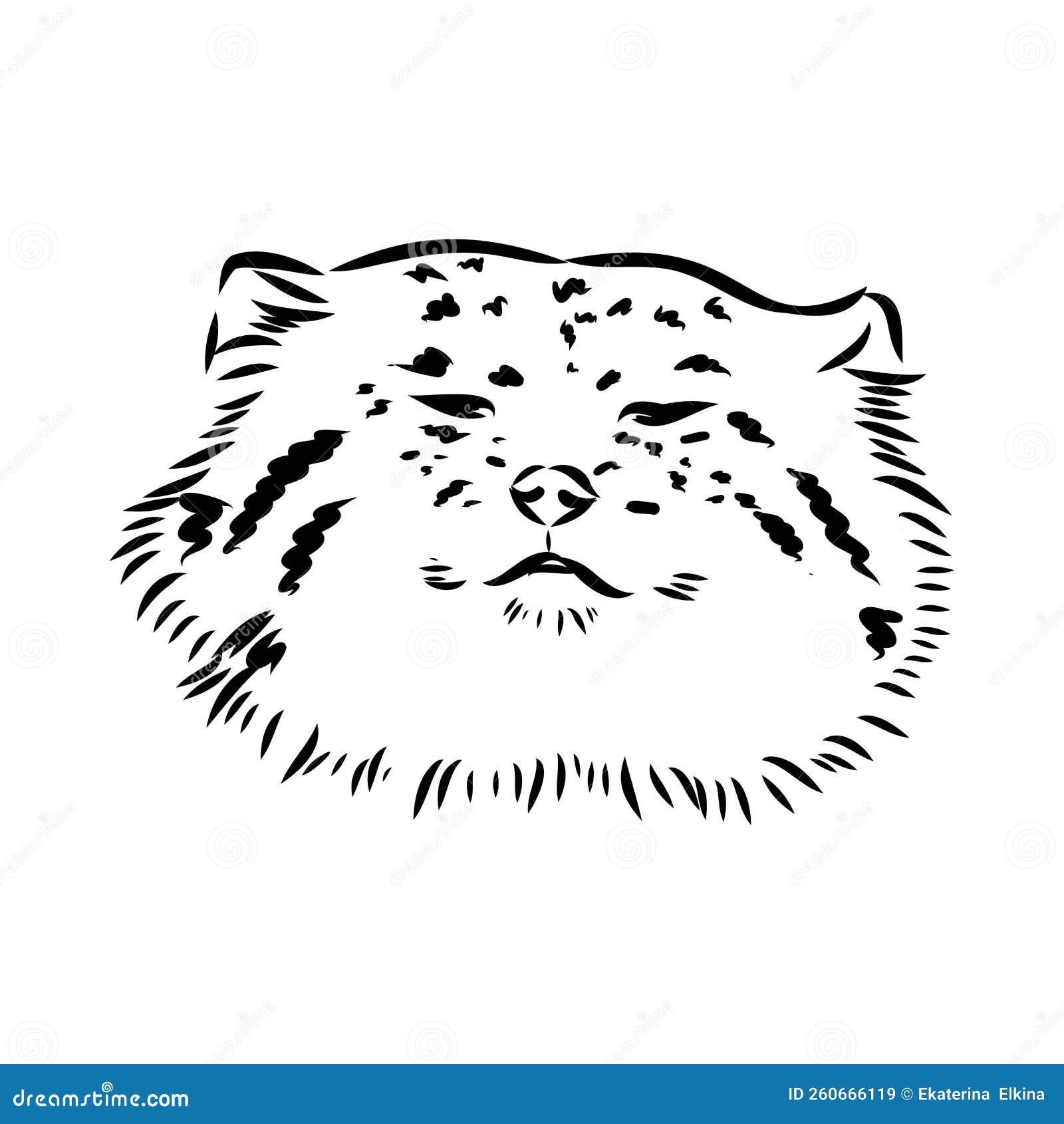 Vector Manul Wild Cats Graphic Illustration Manul The Forest Cat ...