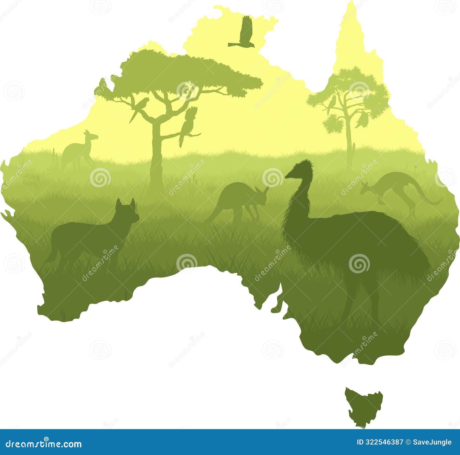 Vector Map Of Australia With Acacia Tree, Kangaroo, Cockatoo, Dingo ...