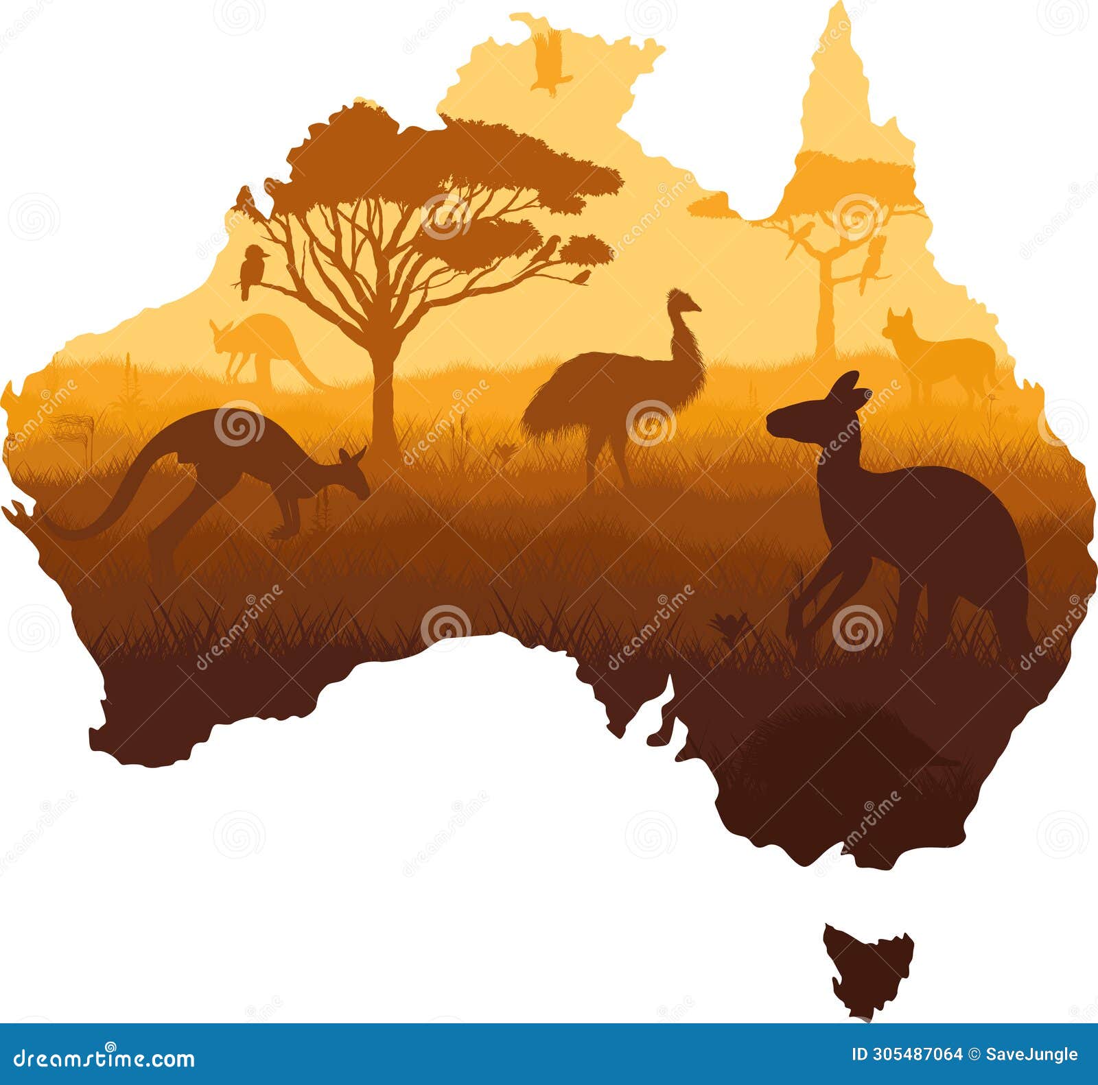 Vector Map of Australia Animals Stock Vector - Illustration of ...