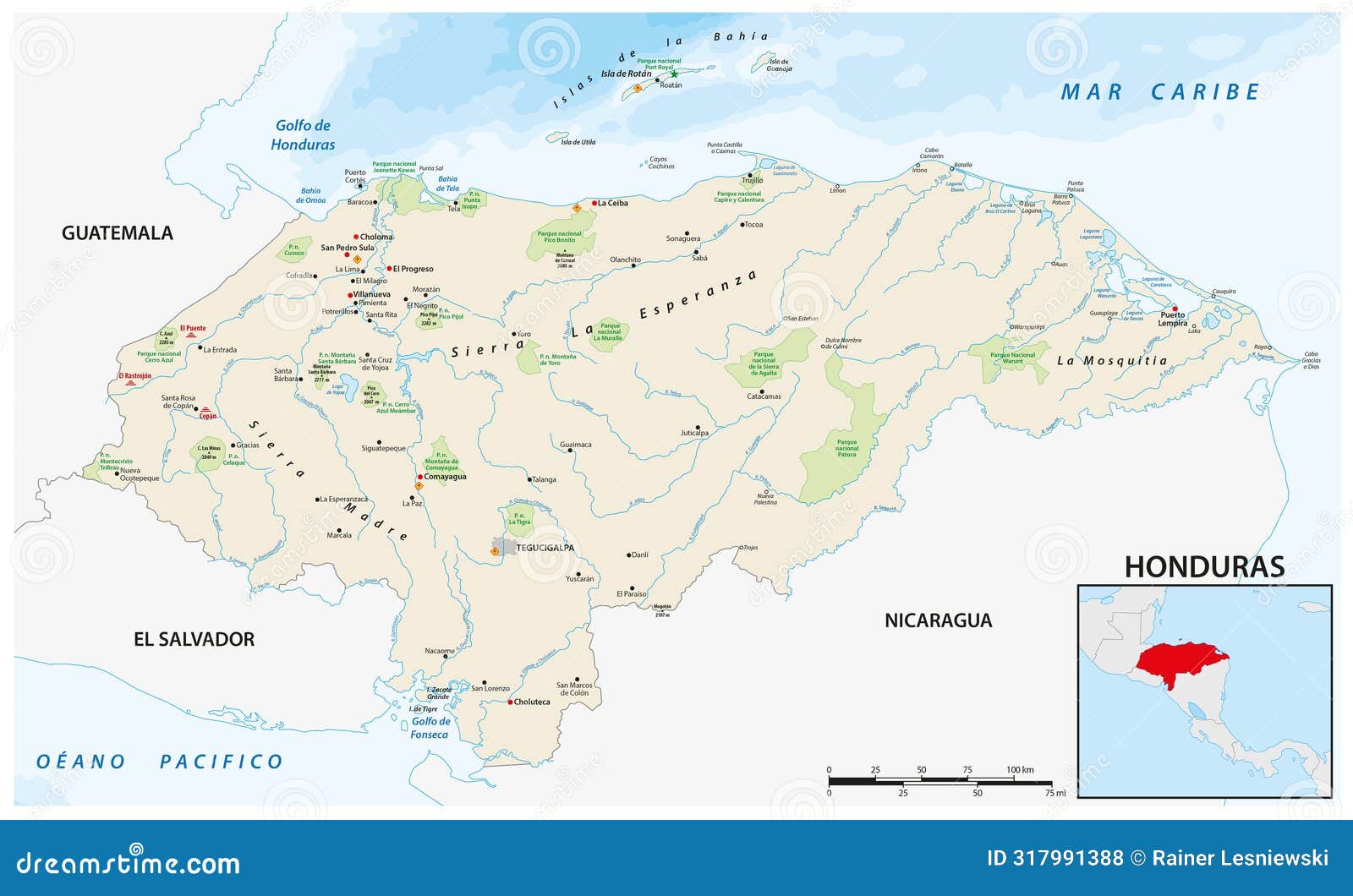 Vector Map of the Central American State of Honduras Stock Vector ...