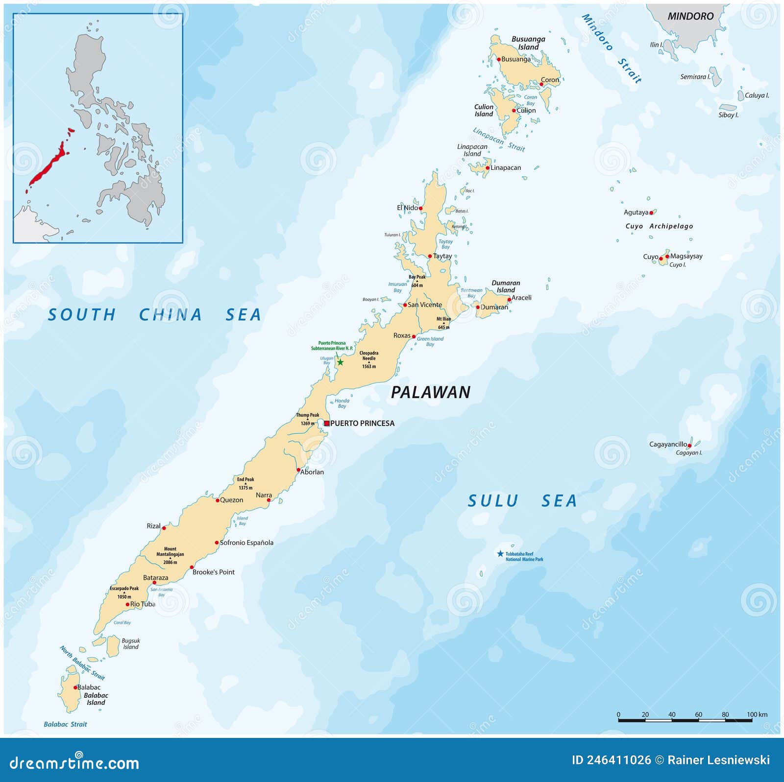 Vector Map Of West Philippine Island Palawan | CartoonDealer.com #246411026