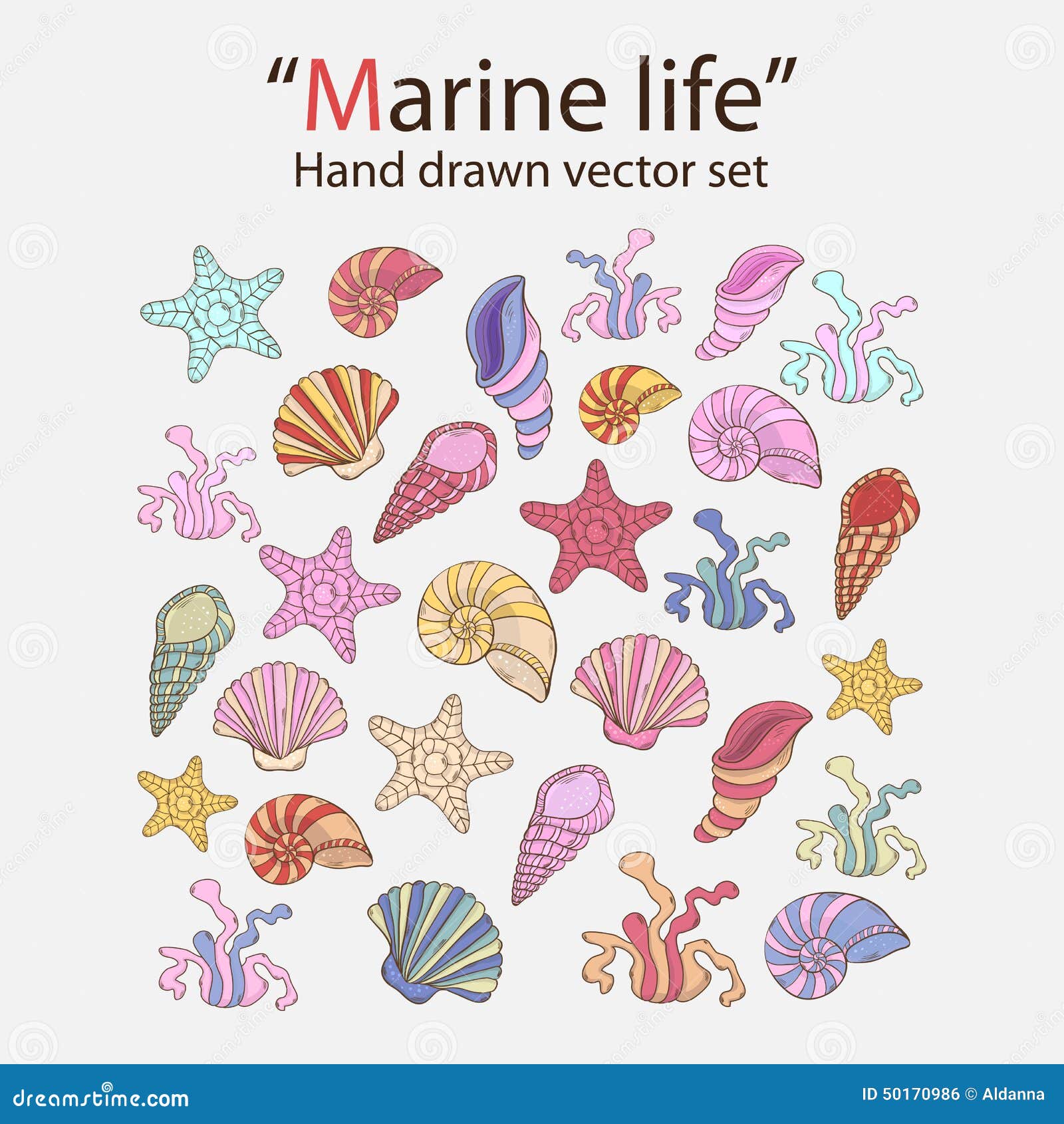 Vector Marine Seaweed,shells Stock Vector - Illustration of shape ...