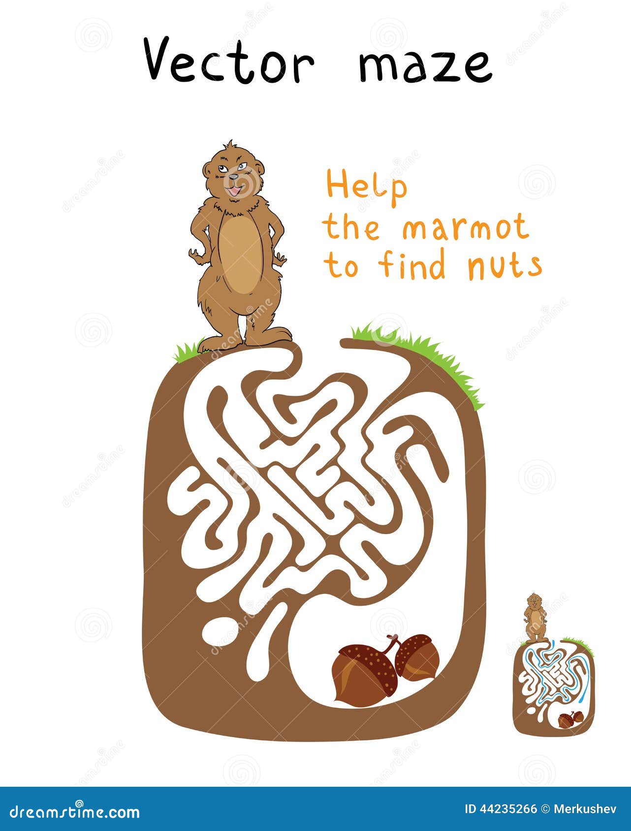 Vector Maze, Labyrinth with Marmot and Nut. Stock Vector - Illustration ...