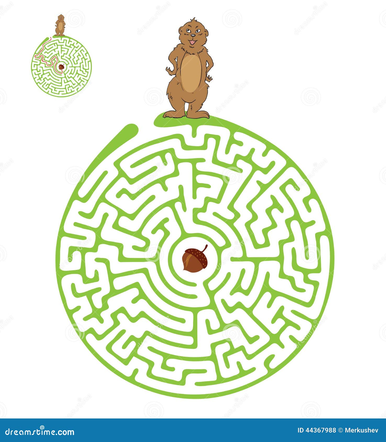 Vector Maze, Labyrinth with Marmot and Nut. Stock Vector - Illustration ...