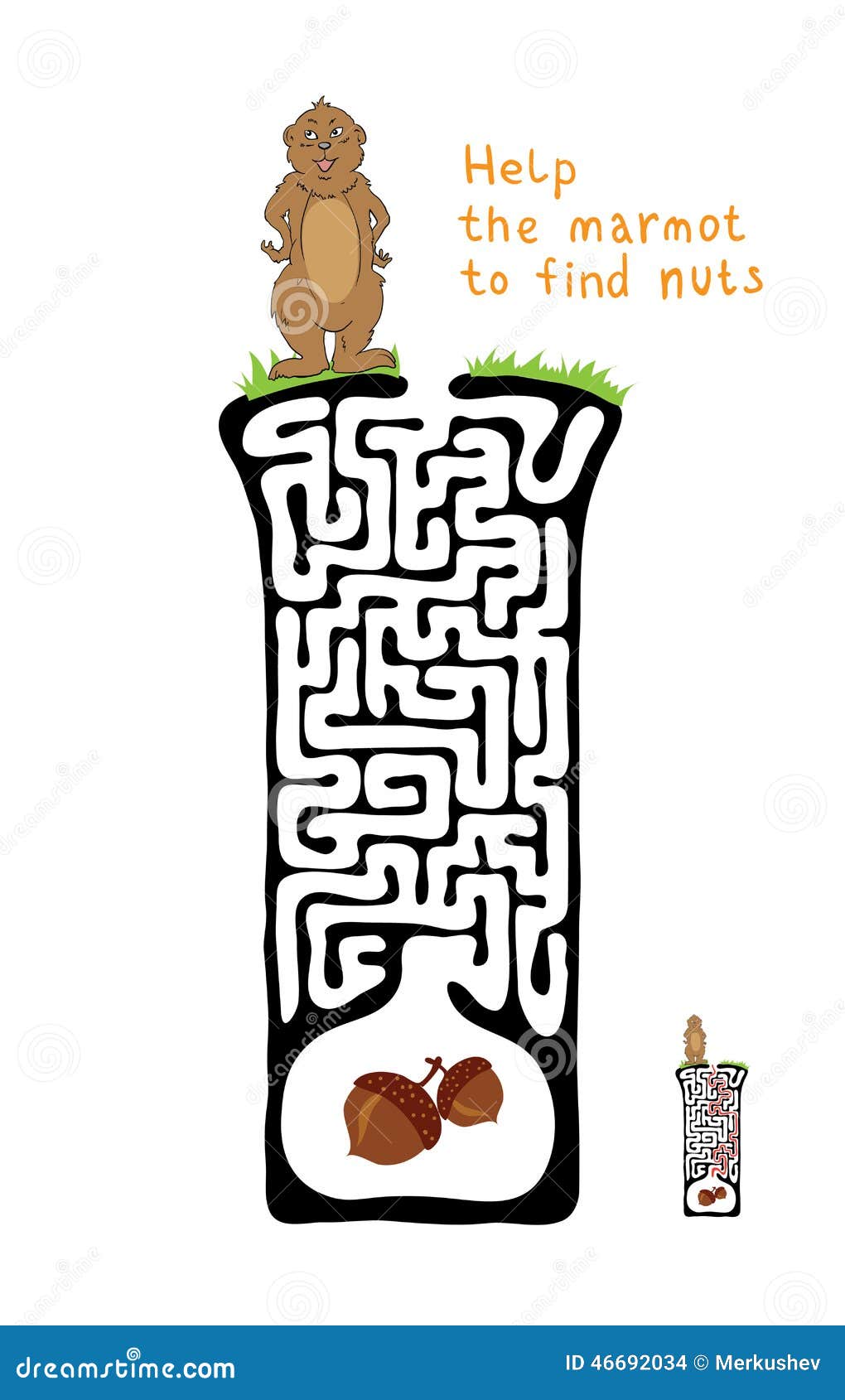 Vector Maze, Labyrinth with Marmot and Nut. Stock Vector - Illustration ...