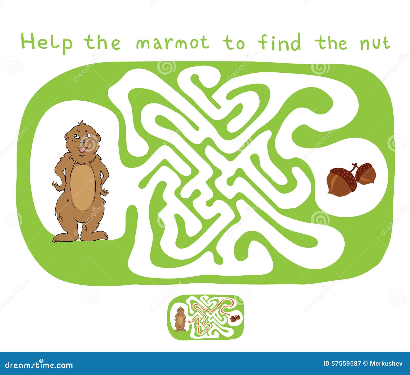 Vector Maze, Labyrinth with Marmot and Nut Stock Vector - Illustration ...