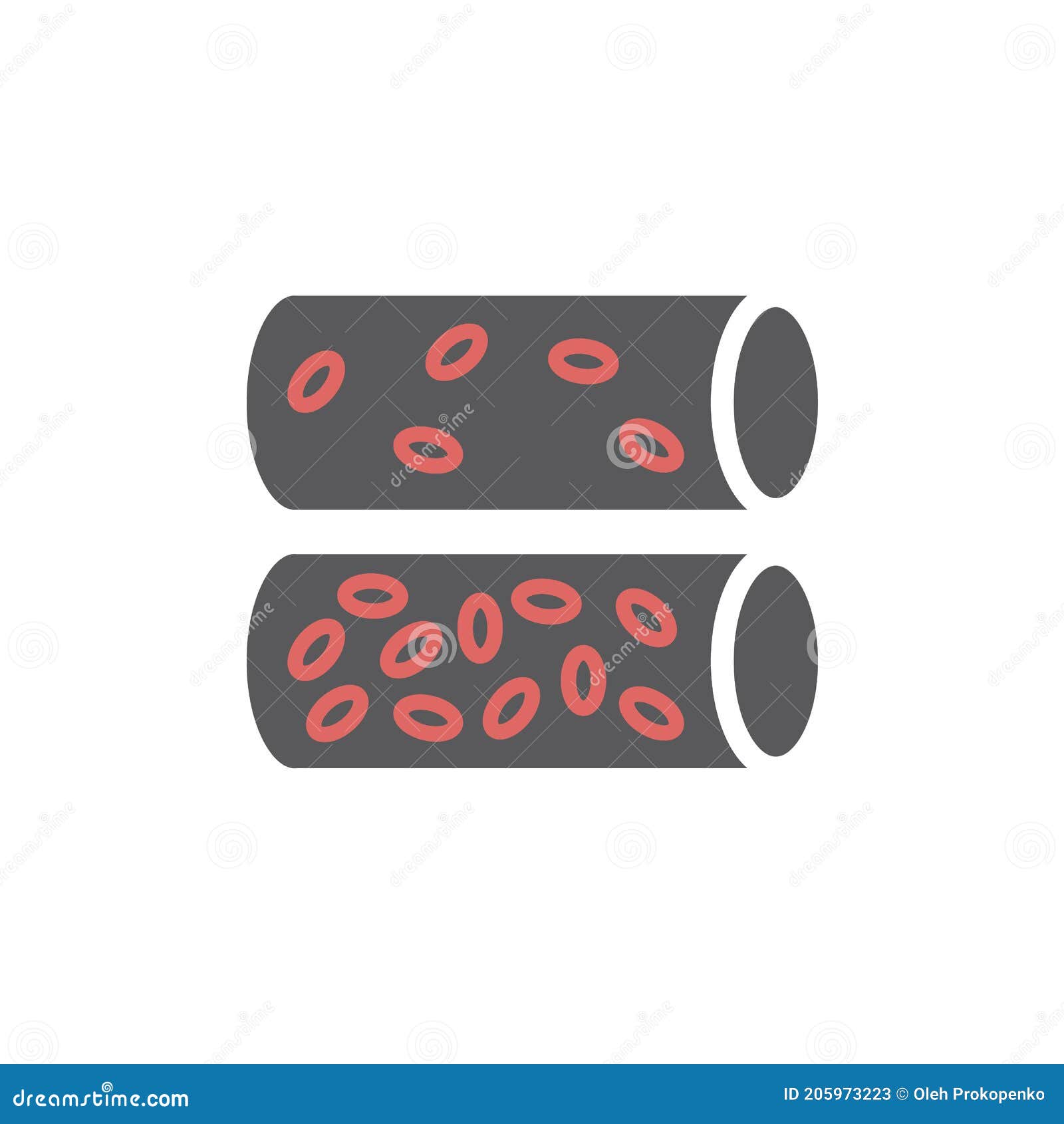 Blood Components Red White Blood Cells Plasma Chart Cartoon Vector ...